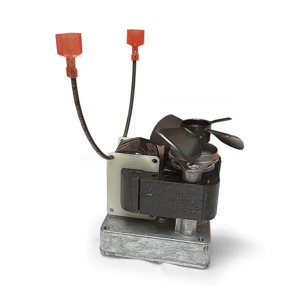 Zebra Skimmers: Replacement Motor for Tube Skimmer (MZ07J8 - 100-120V ...